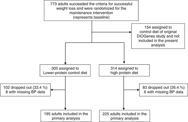 Does protein cause high BP?