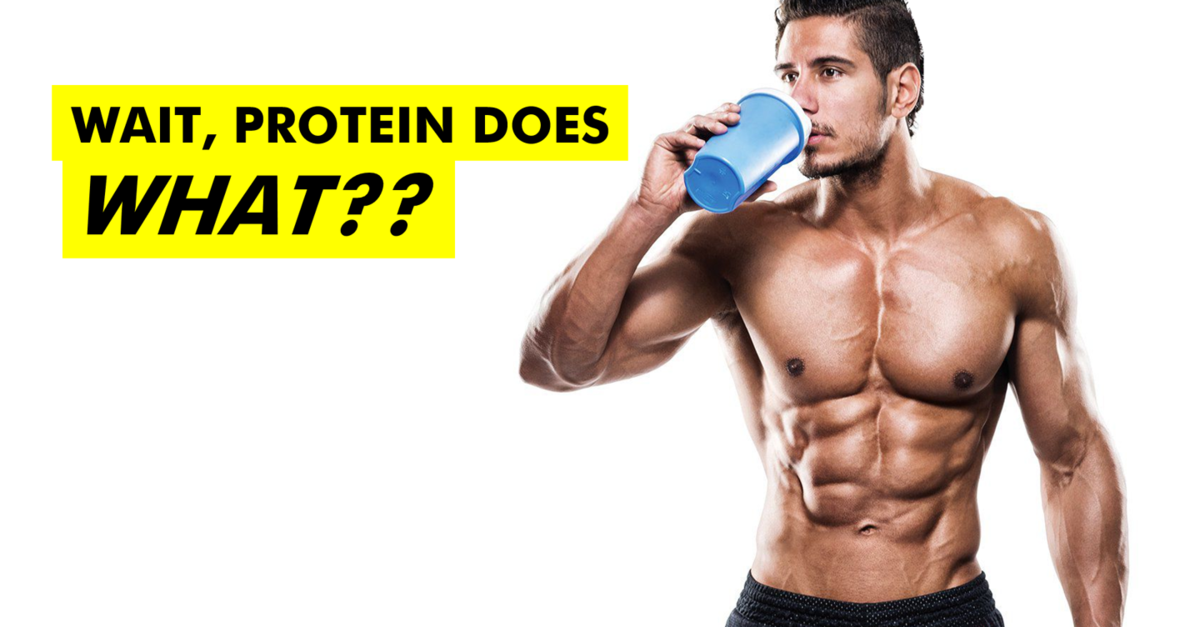 Does protein decrease testosterone?