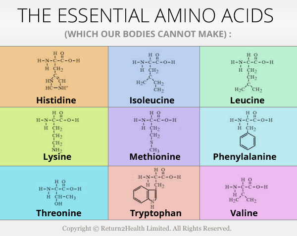 Does protein have 9 amino acids?