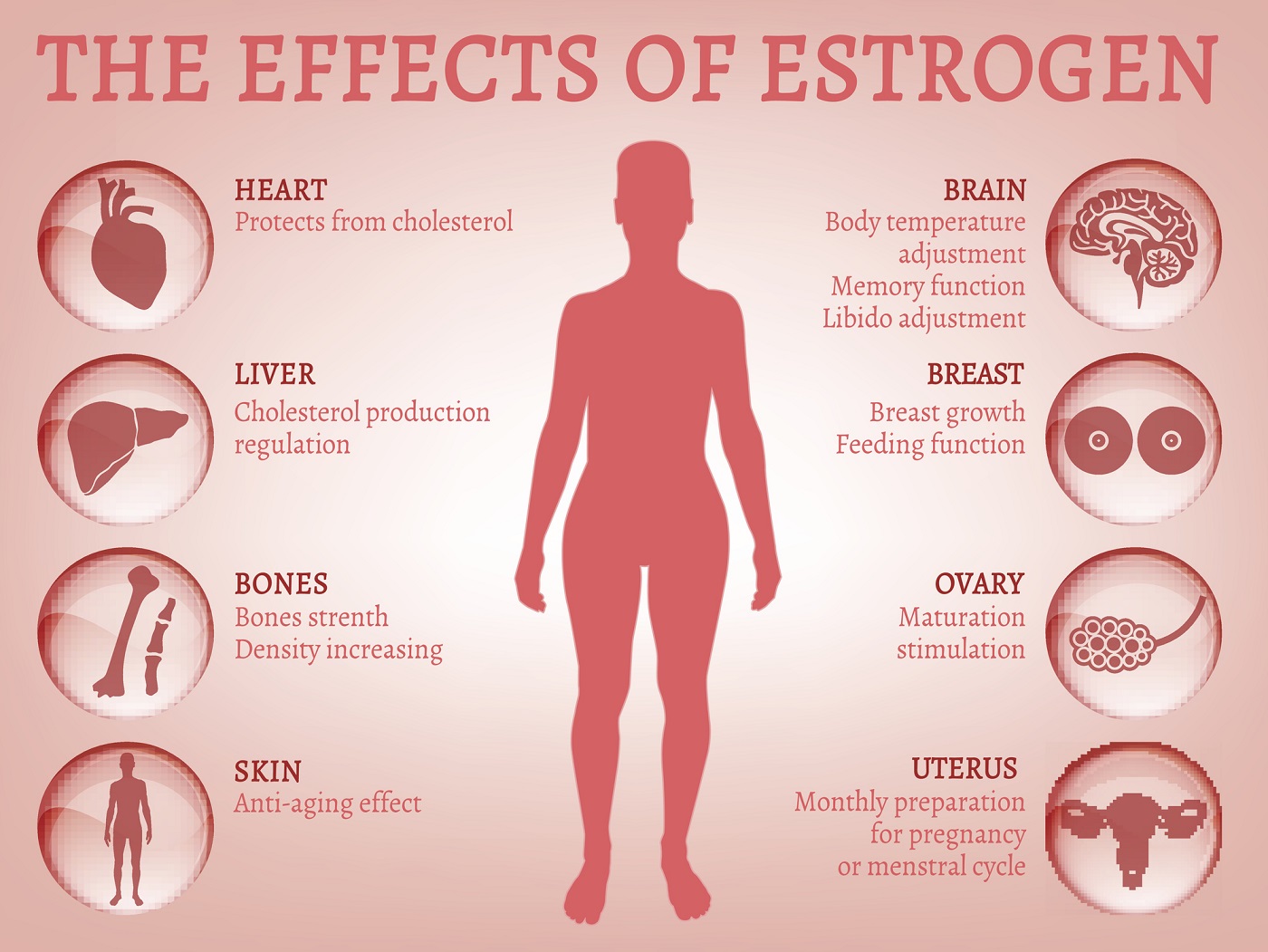 Does protein have estrogen?