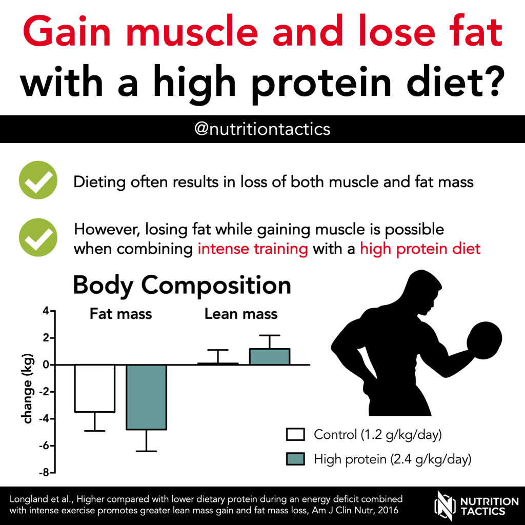 Does protein help lose weight and build muscle?