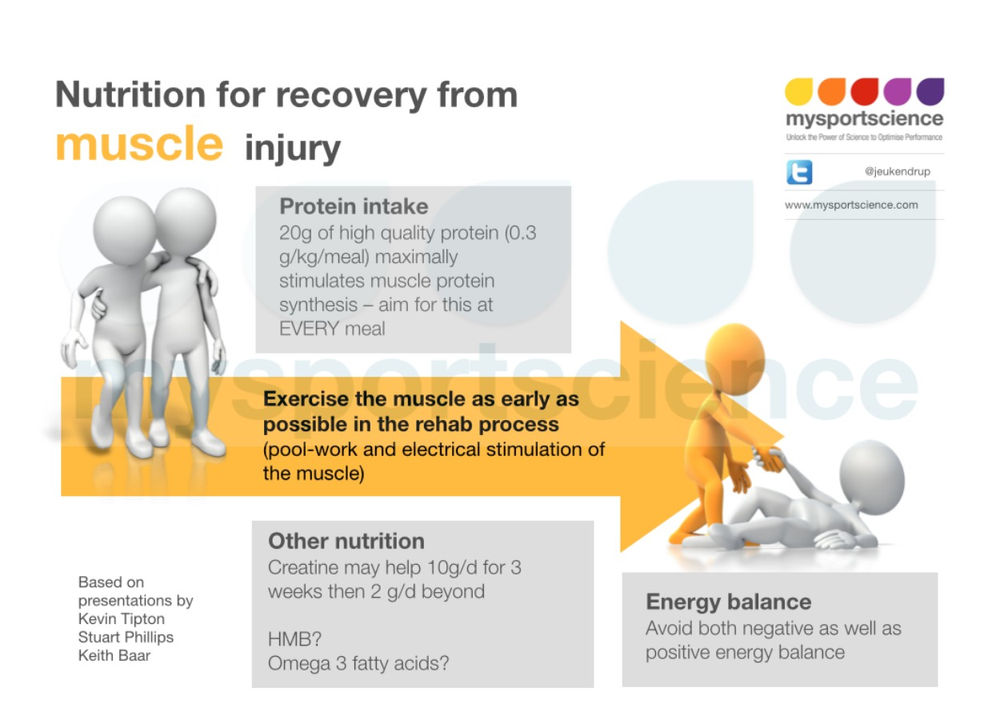 Does protein help muscle injuries?