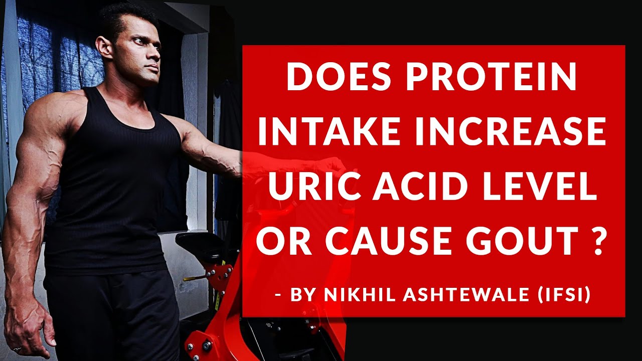Does protein increase uric acid?
