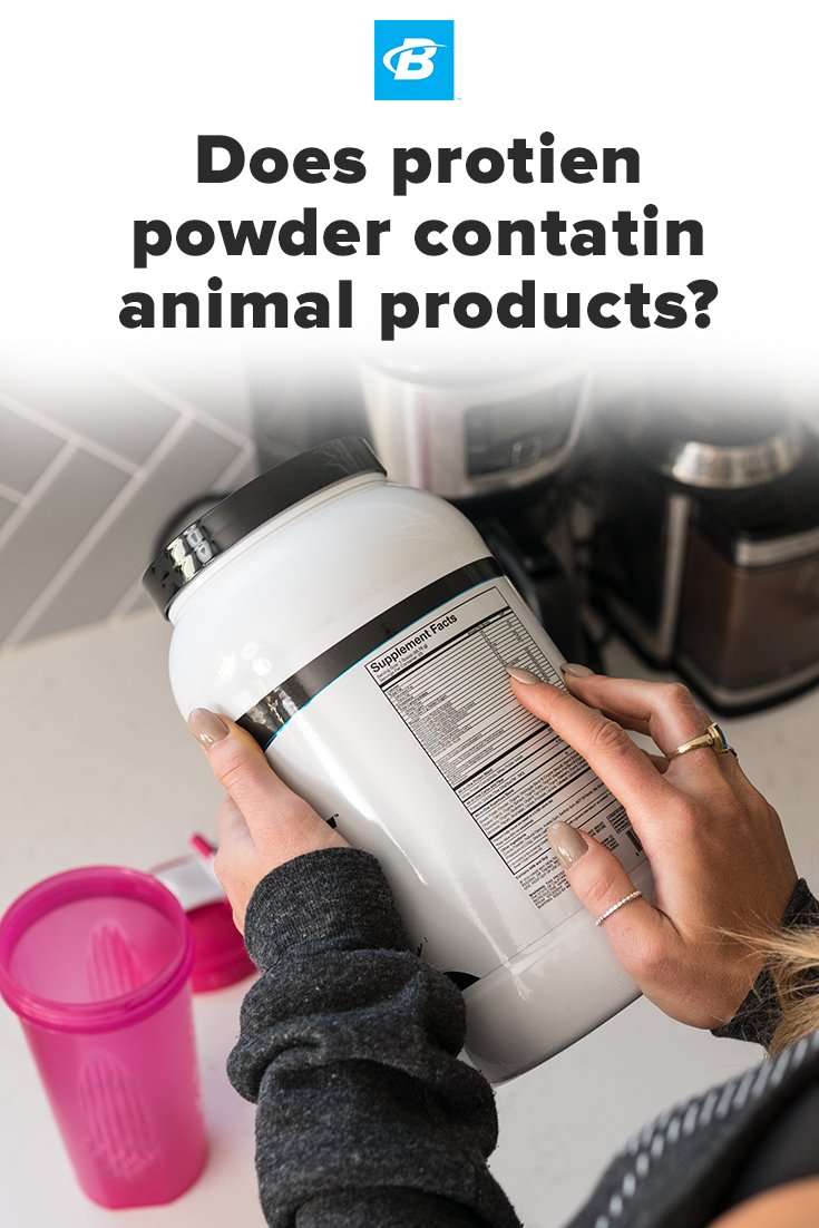 Does protein powder contain meat?