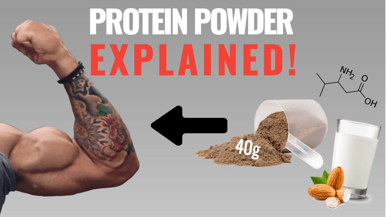Does protein powder help build muscle?