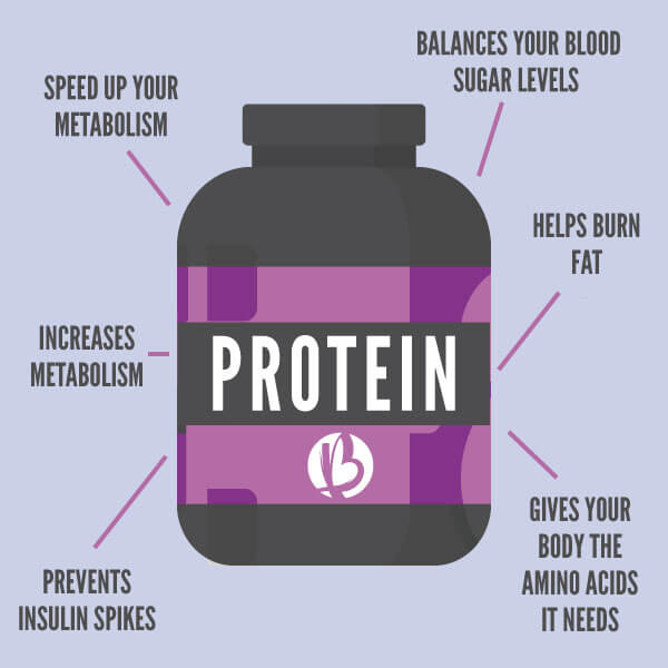 Does protein powder speed up metabolism?