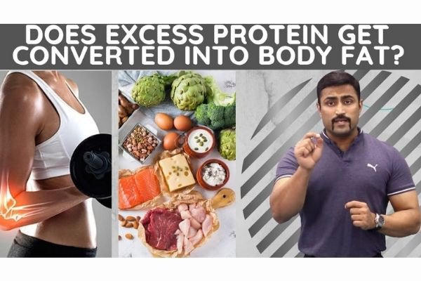 Does protein turn into fat if you don't workout?