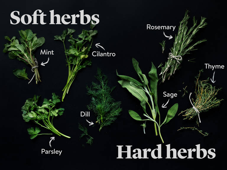 Does putting herbs in water make them last longer?