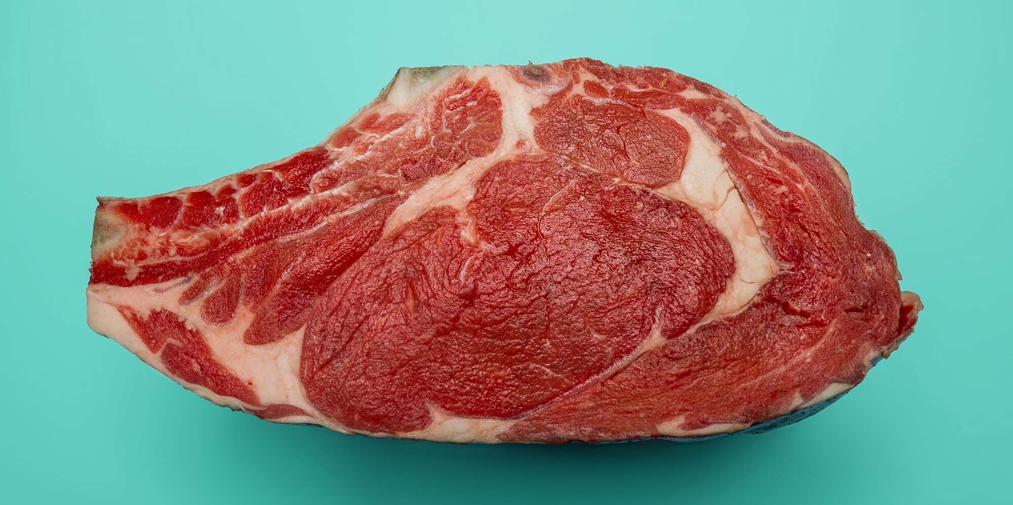 Does putting salt on meat make it last longer?