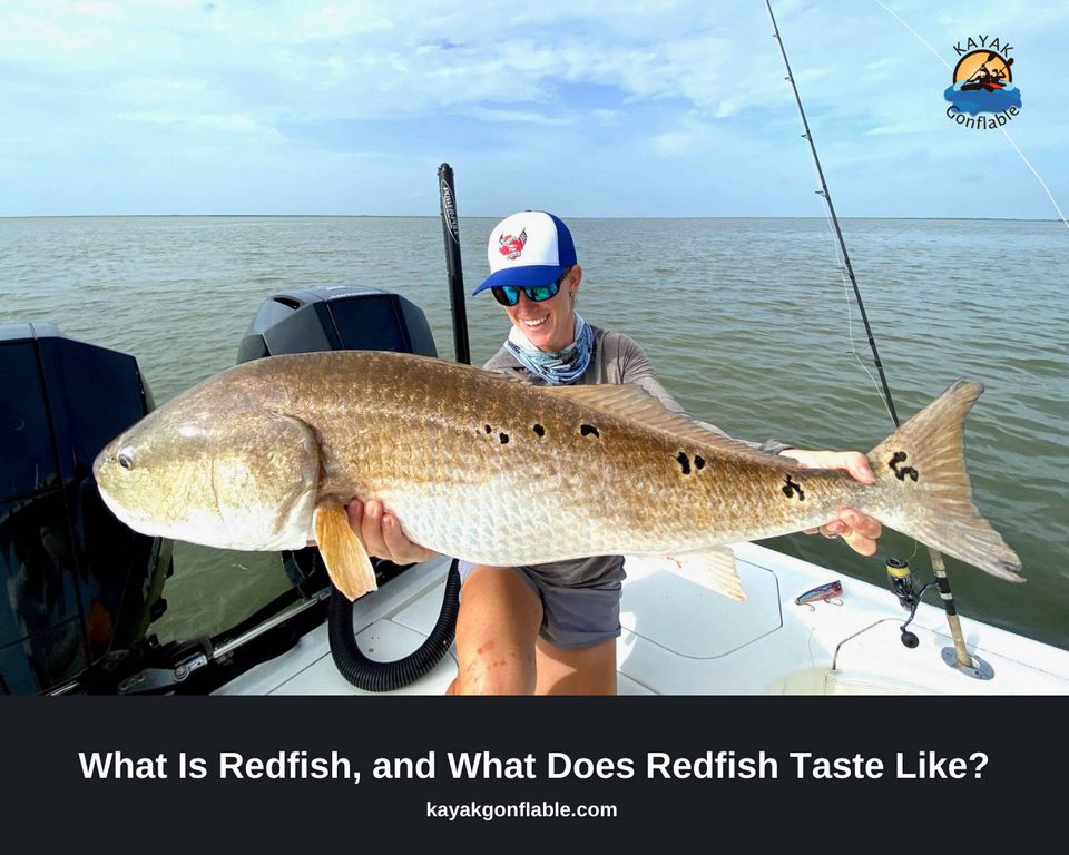 Does redfish taste like salmon?