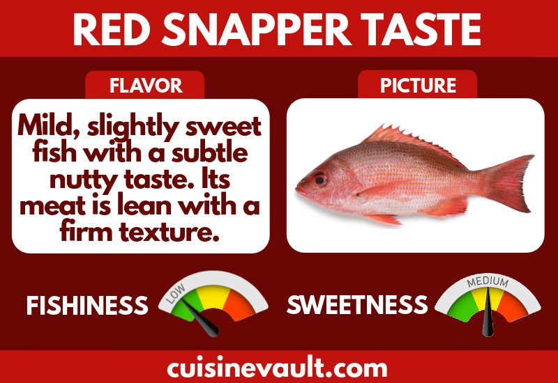 Does redfish taste like snapper?