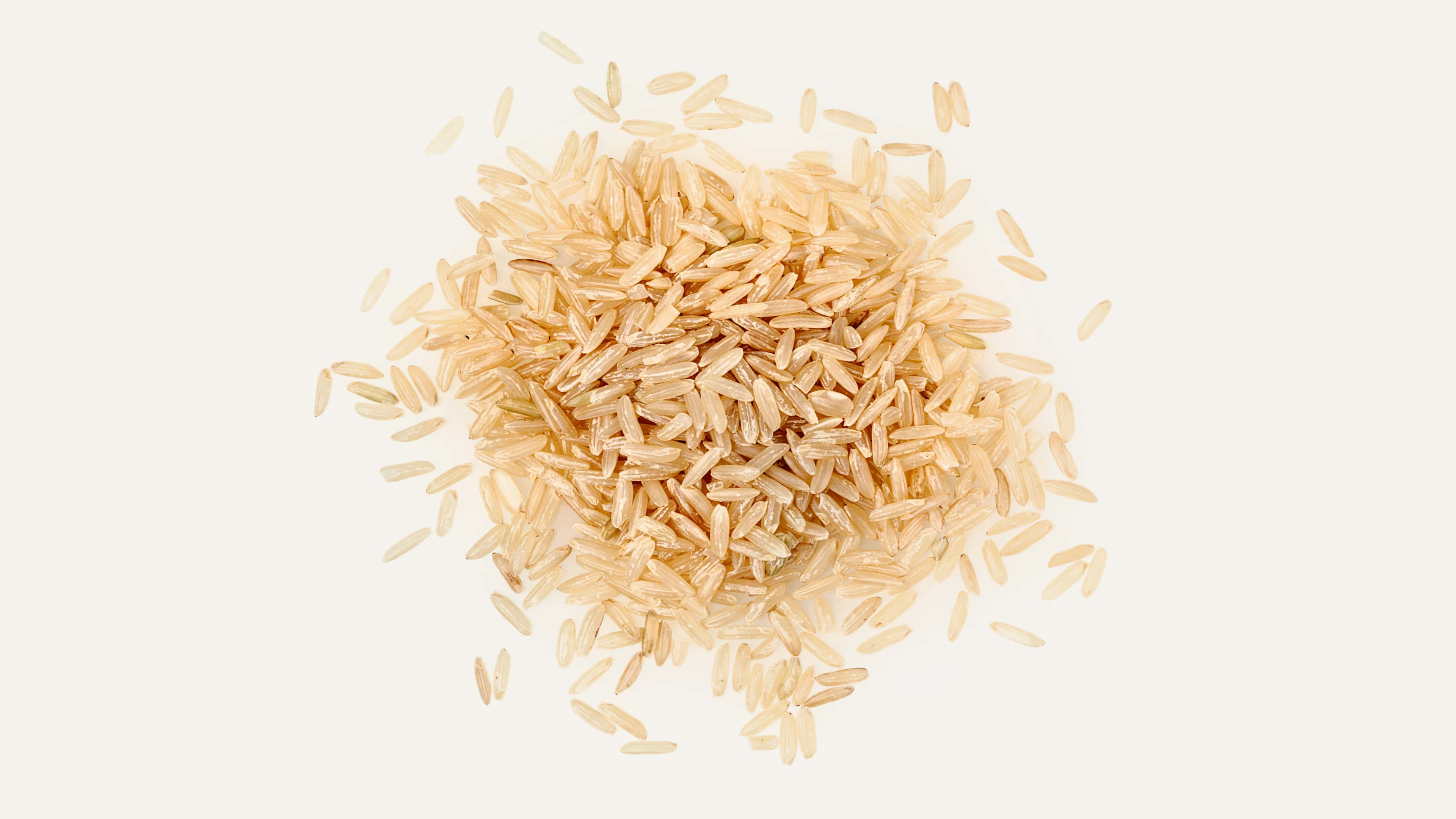 Does rice protein cause gas?