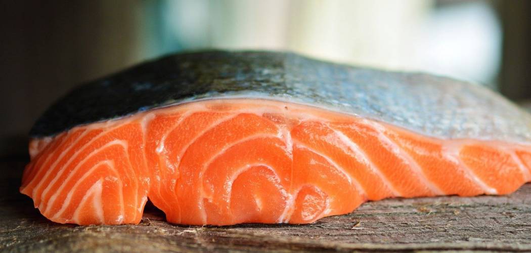 Does salmon have a metallic taste?