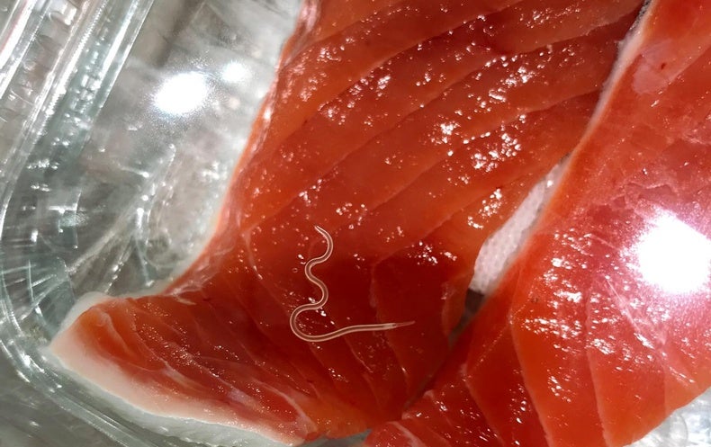 Does salmon sushi have worms?