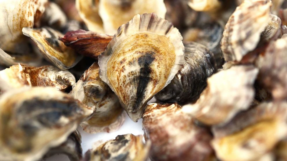 Does seafood have a lot of bacteria?
