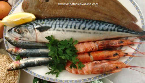 Does seafood have a lot of iodine?