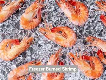 Does shrimp broth go bad?