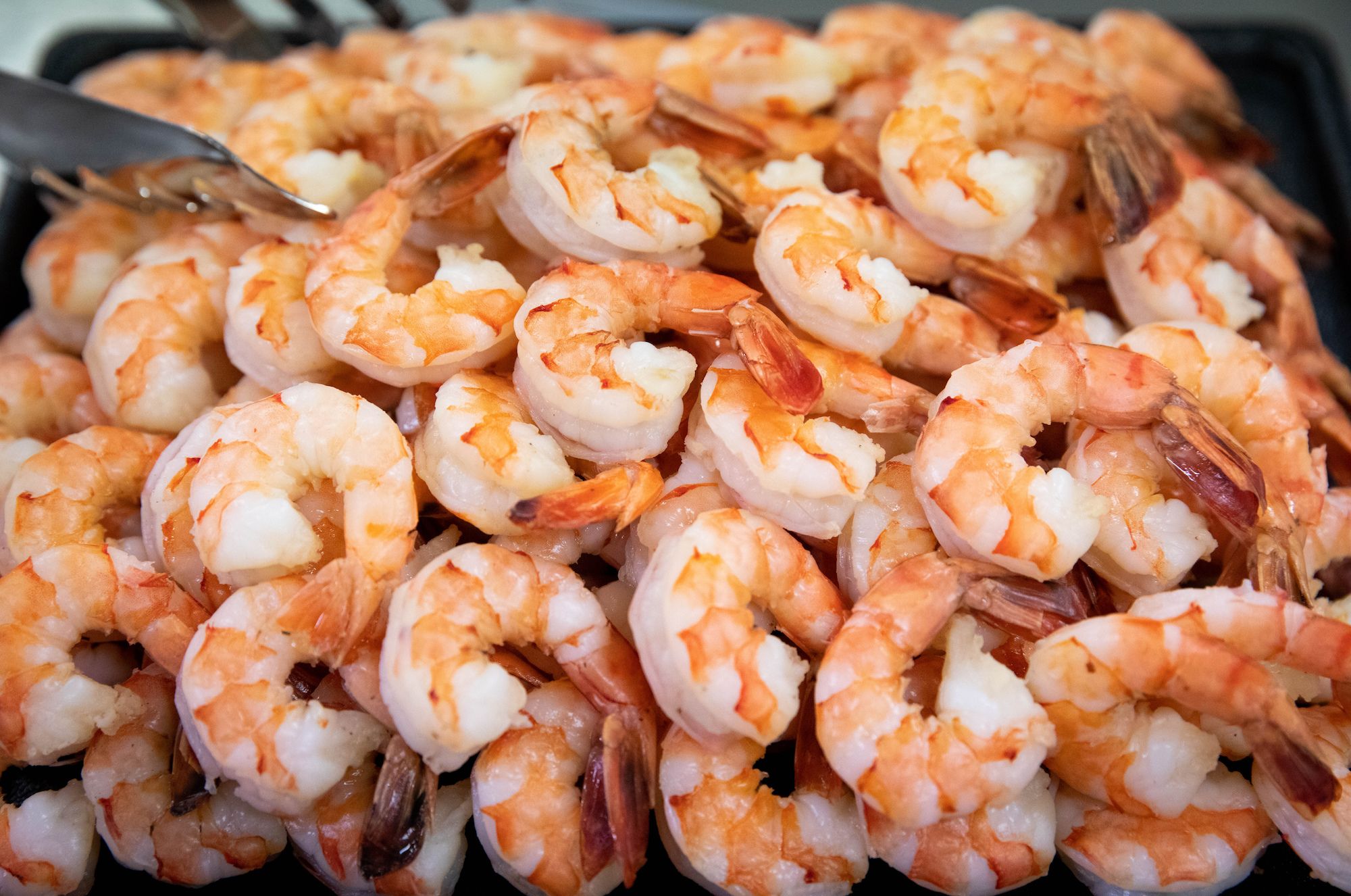 Does shrimp carry salmonella?