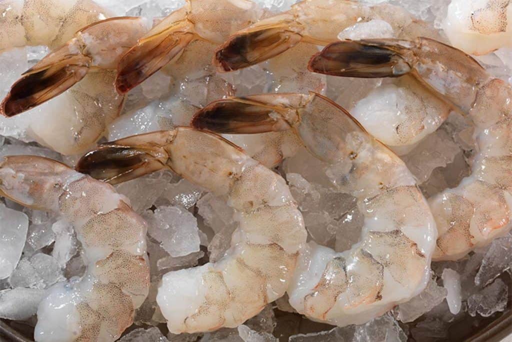 Does shrimp need to be kept on ice?