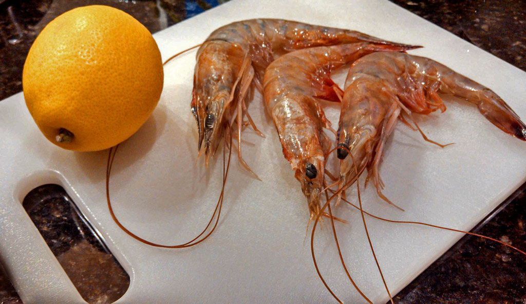 Does shrimp stock go bad?