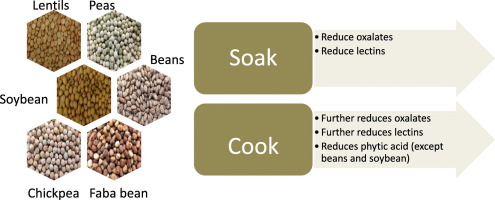Does soaking legumes reduce antinutrients?