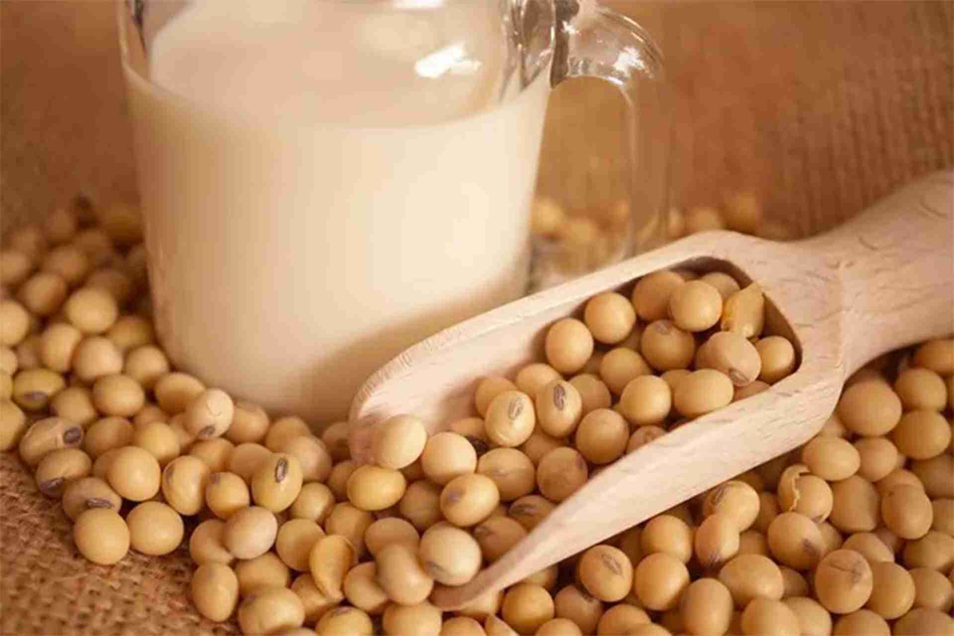 Does soy block protein absorption?