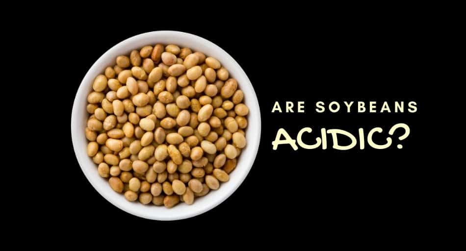 Does soy cause acid?