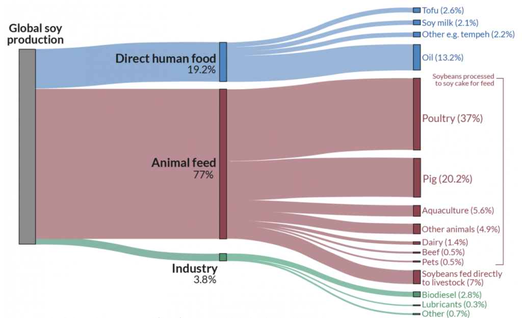 Does soy cause deforestation?