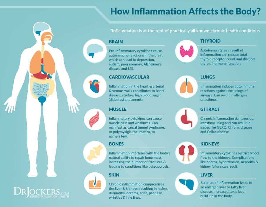 Does soy cause inflammation in body?