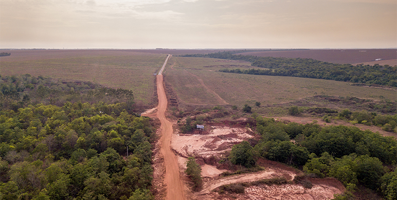 Does soy damage the environment?