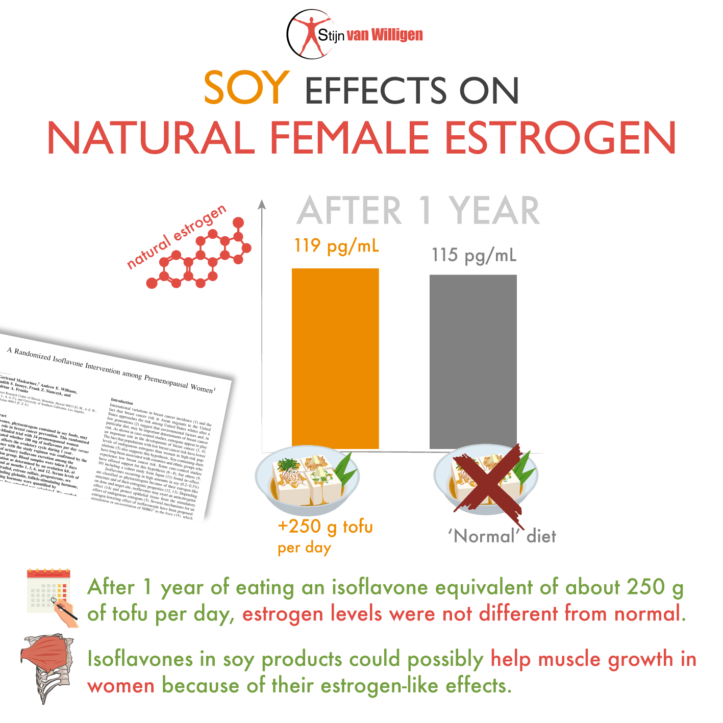 Does soy decrease estrogen in females?