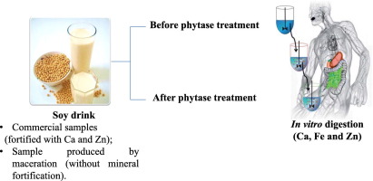 Does soy have phytates?