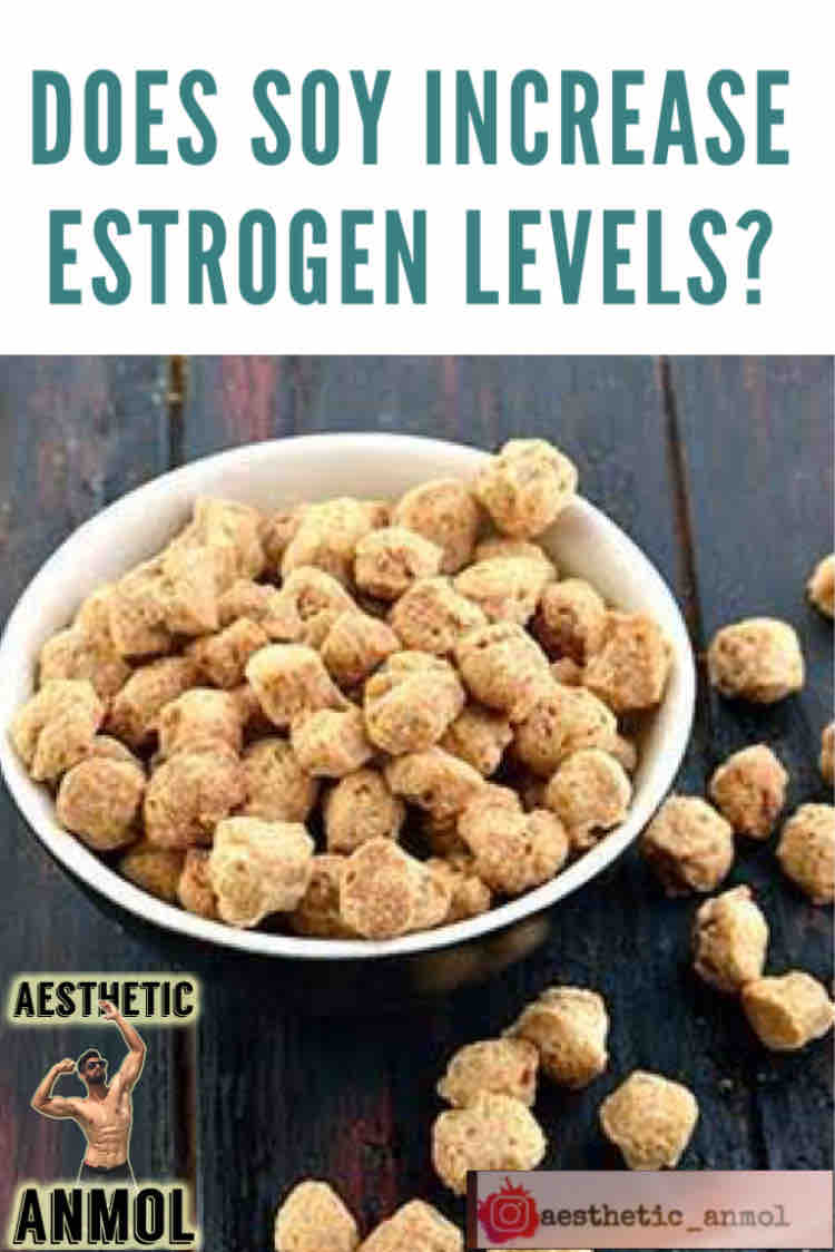 Does soy increase estrogen levels?