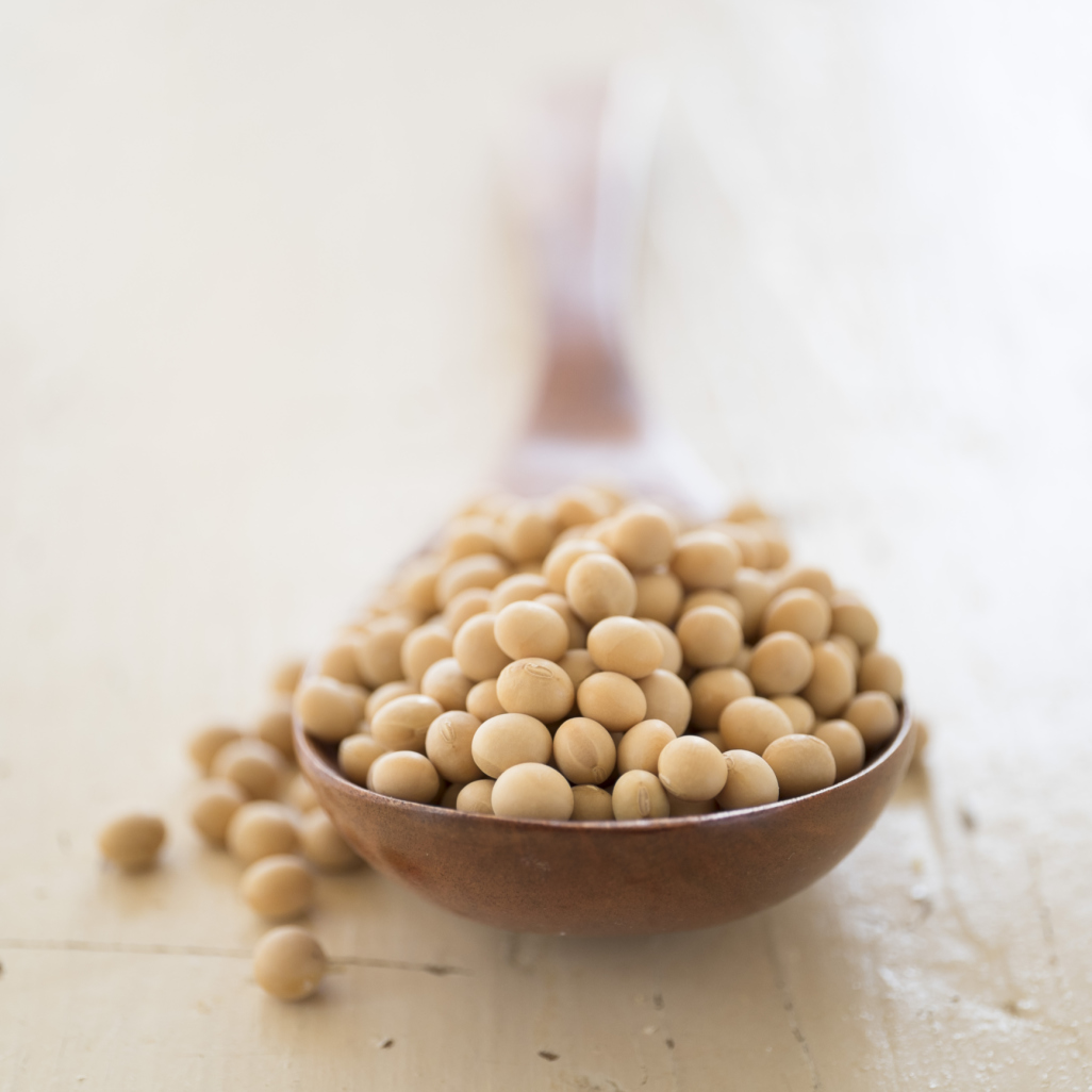 Does soy increase fat?