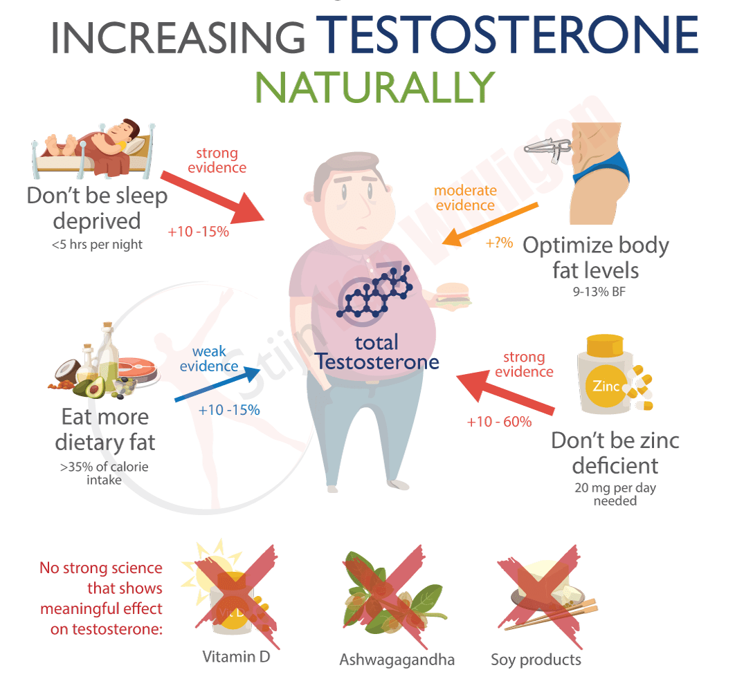 Does soy increase testosterone?