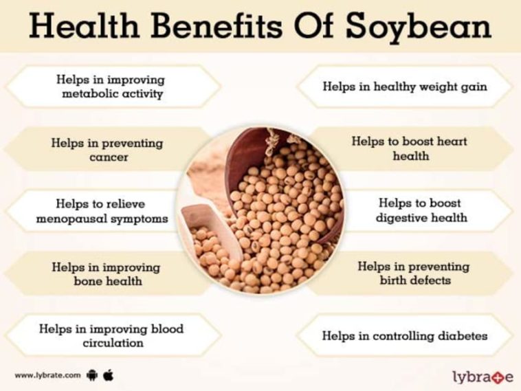 Does soy isoflavones make you gain weight?