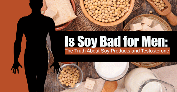 Does soy protein affect men?