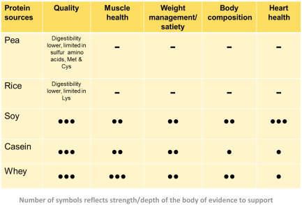 Does soy protein contain soy?