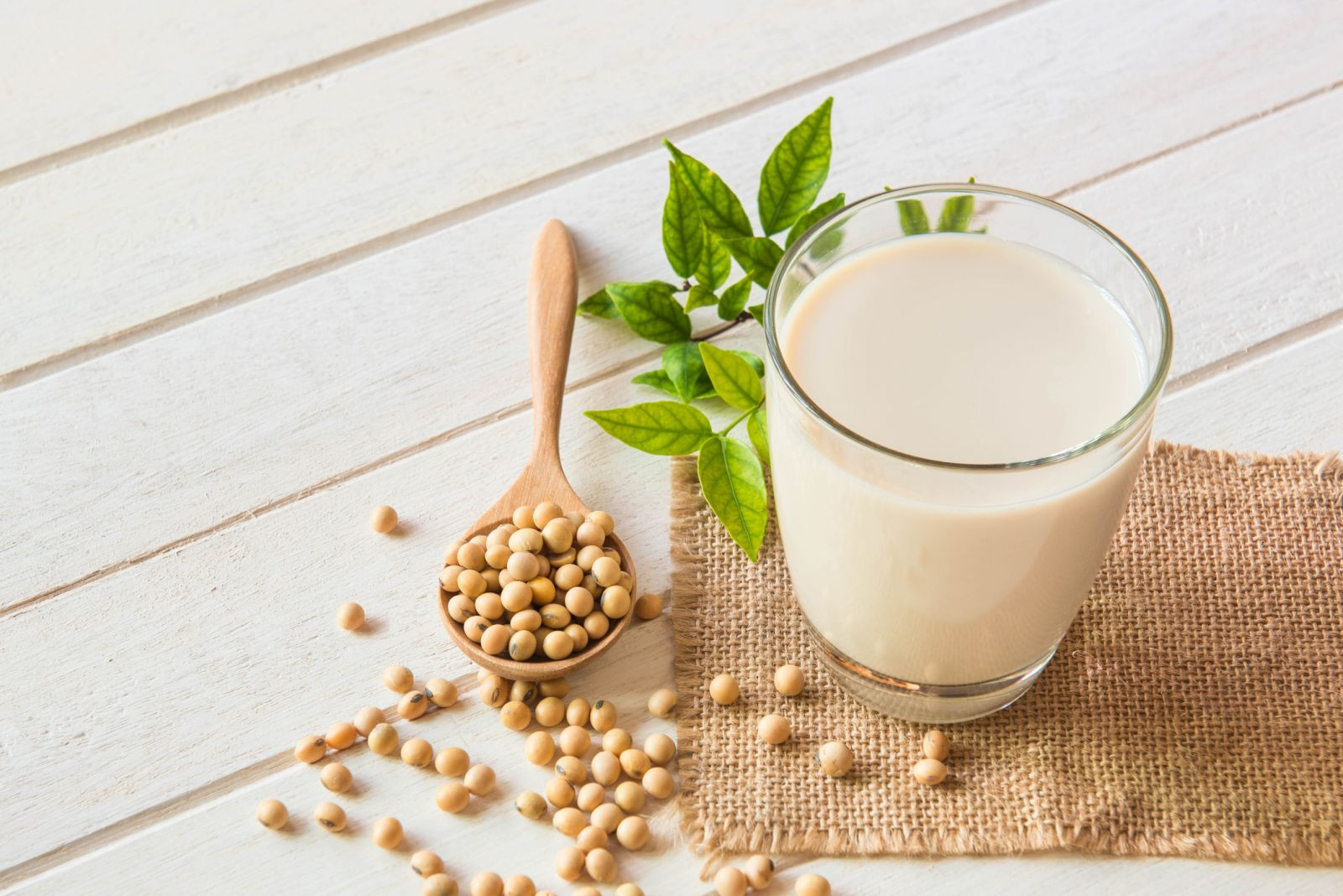 Does soy protein help lower cholesterol?