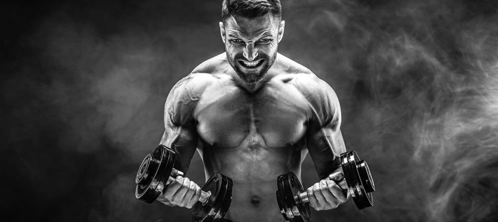 Does soy protein increase testosterone?