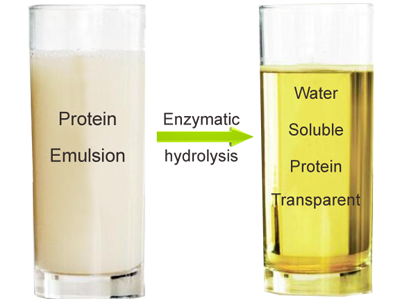 Does soy protein isolate dissolve in water?