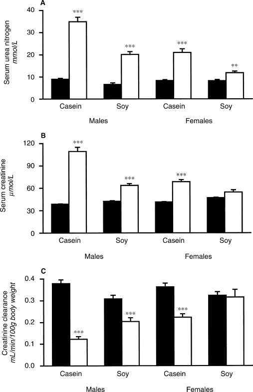 Does soy protein raise creatinine?