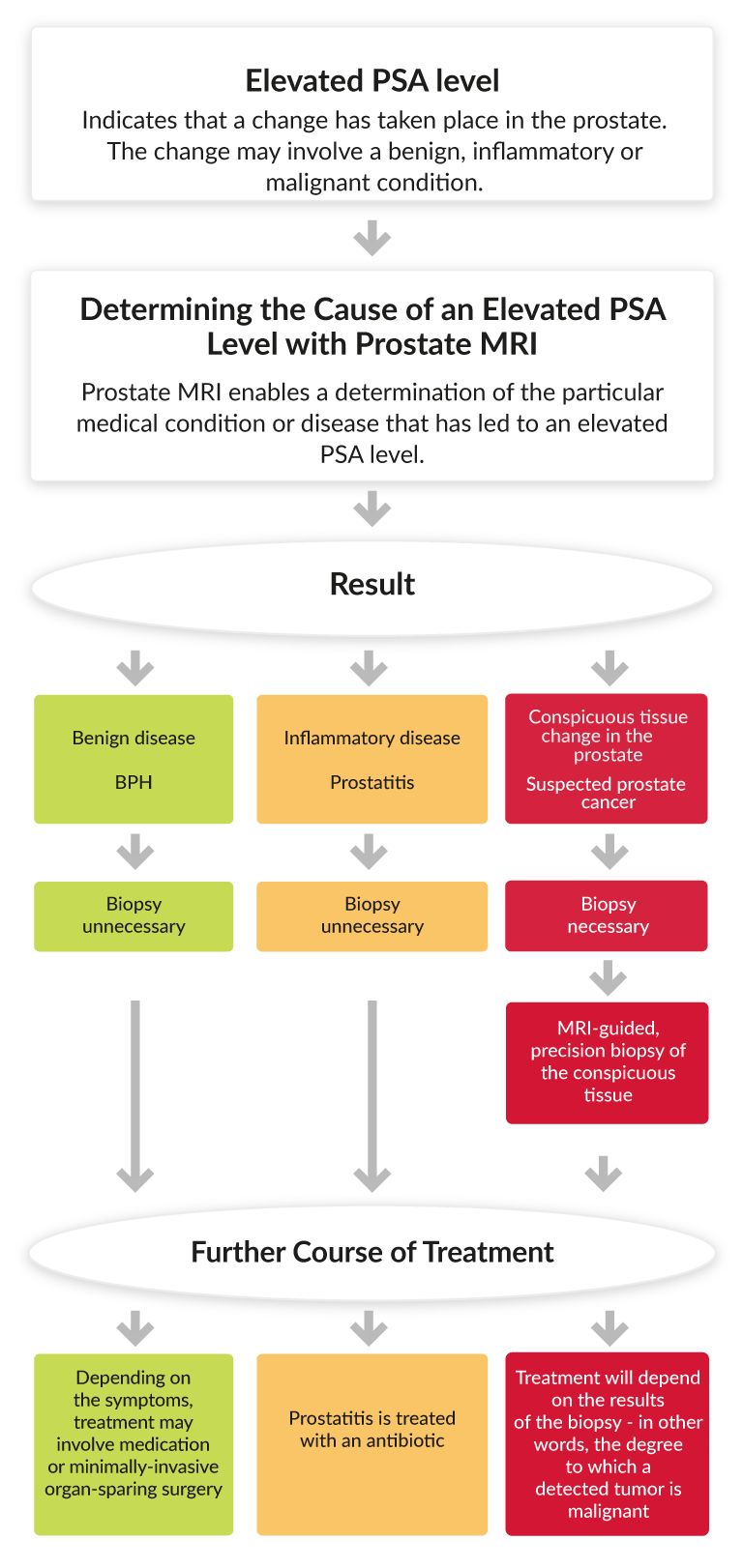 Does soy raise PSA levels?