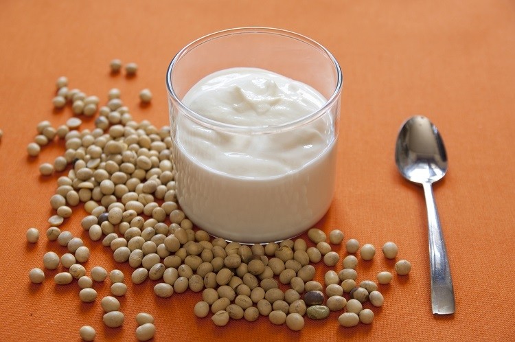 Does soy yogurt have bacteria?
