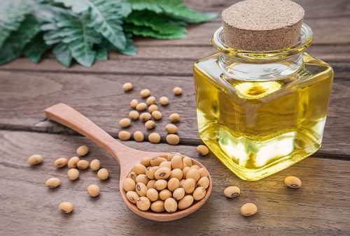 Does soybean oil cause weight gain?