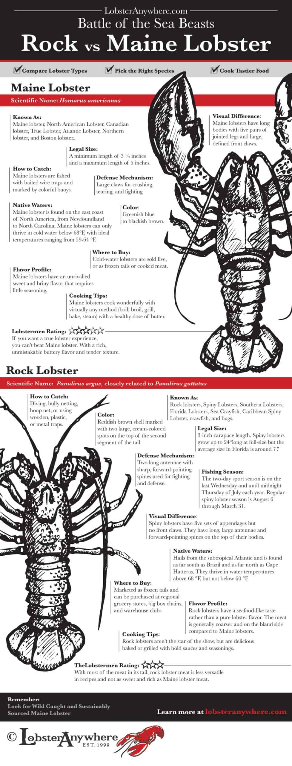 Does spiny lobster taste different than Maine lobster?