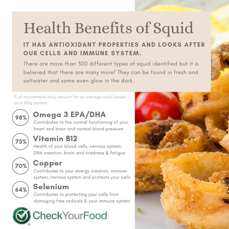 Does squid have any health benefits?