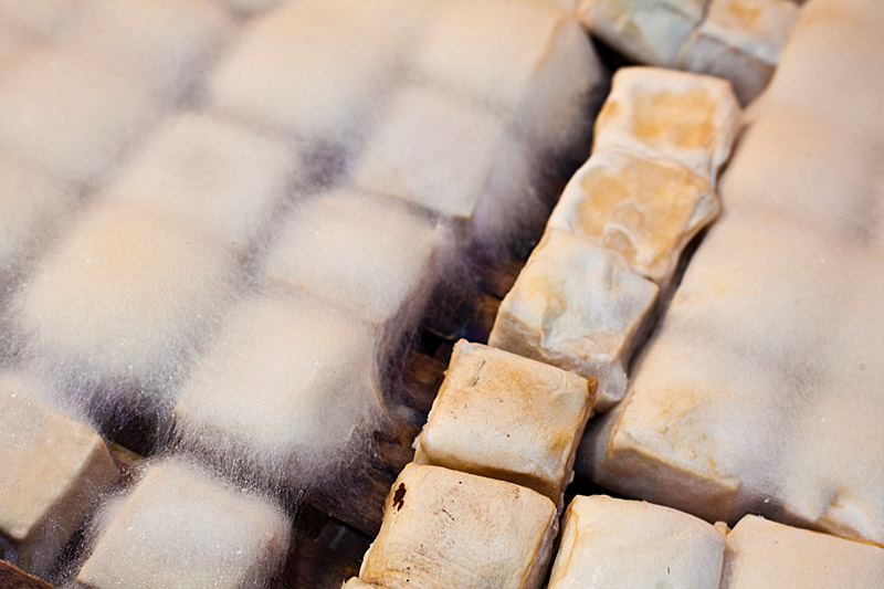 Does stinky tofu have probiotics?