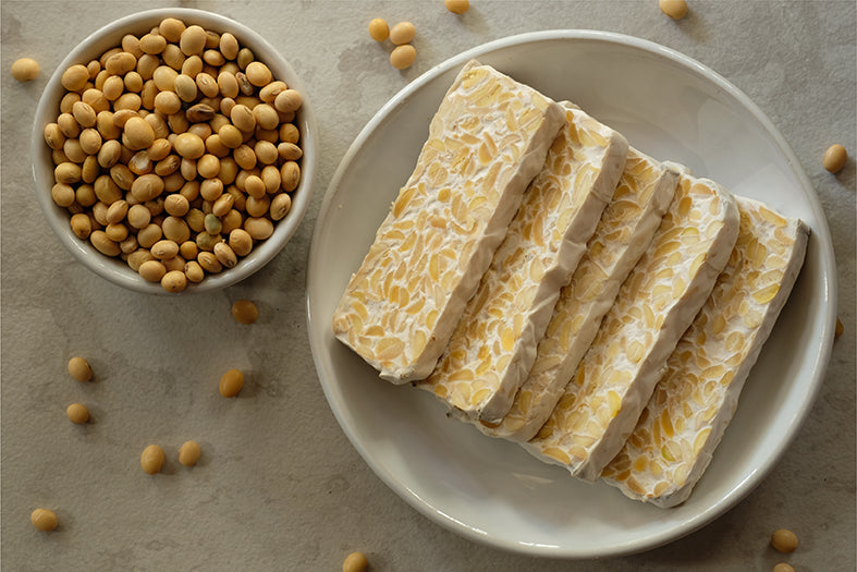 Does tempeh have probiotic bacteria?