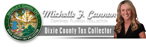 Does the Florida Tax Collector take credit cards?